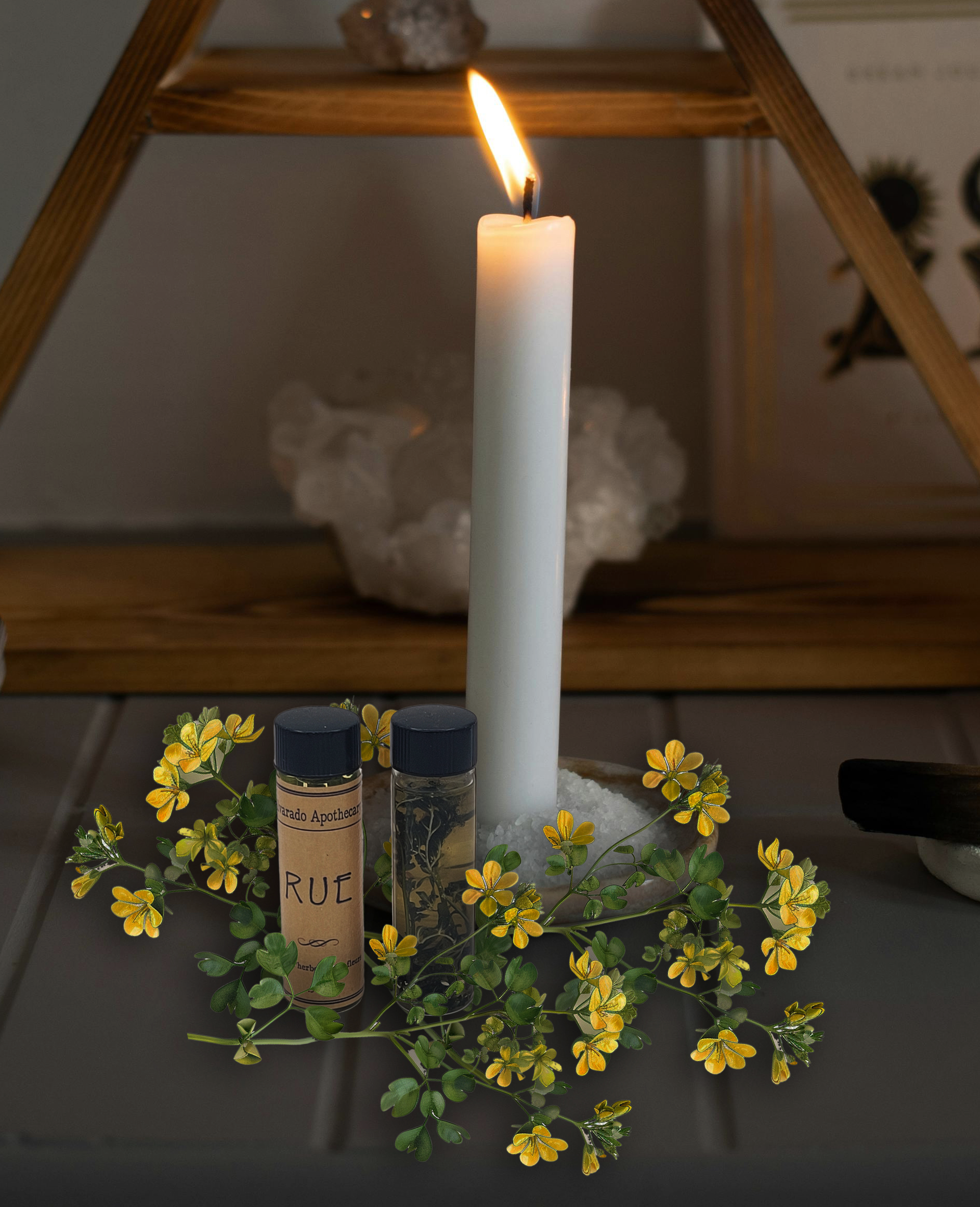 Botanical Oils – Creole Moon