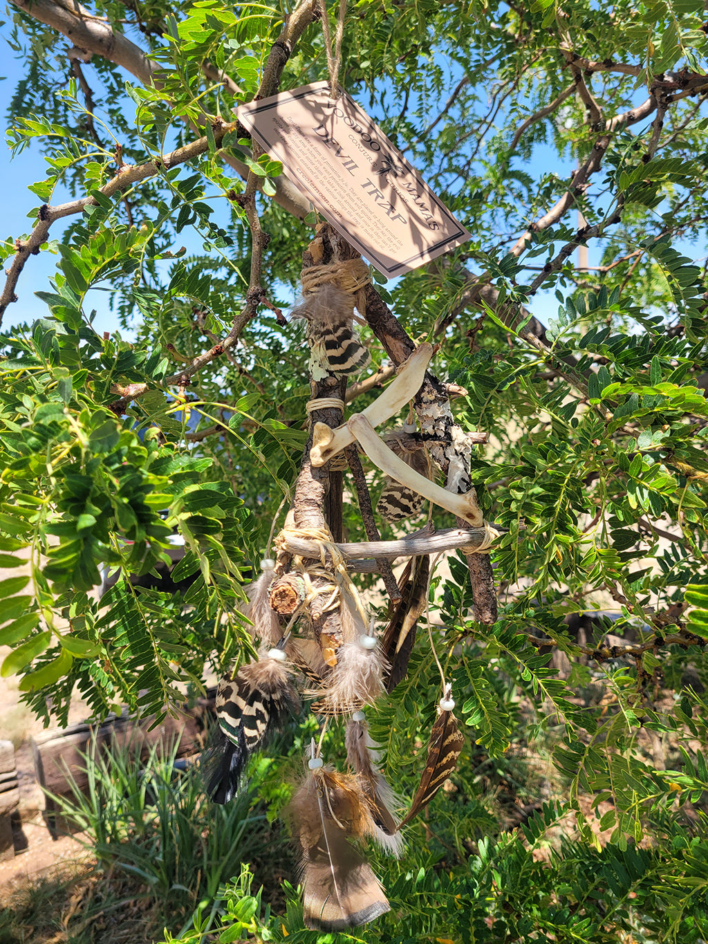 Devil Trap – Creole Moon